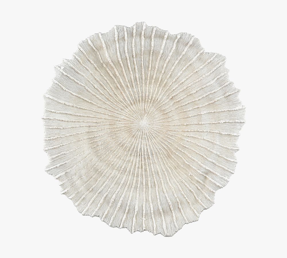 Handmade Ceramic Shell Wall Art - Set of 3 | Pottery Barn