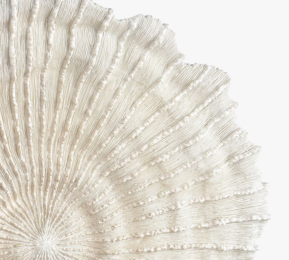 Handmade Ceramic Shell Wall Art - Set of 3 | Pottery Barn