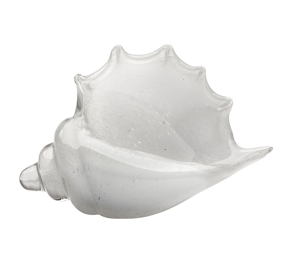 Hand Blown Glass Conch Shells | Pottery Barn