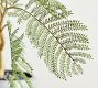 Faux Potted Grey Fern | Pottery Barn