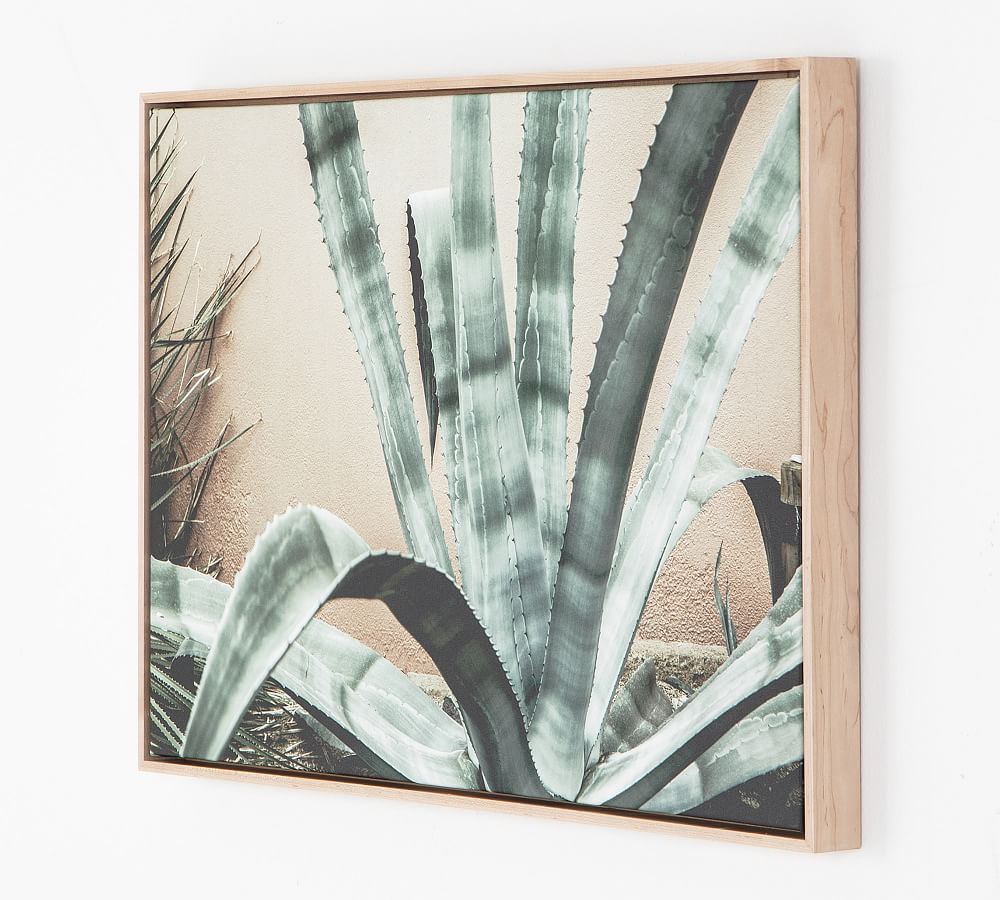 Giant Agave Framed Canvas | Pottery Barn