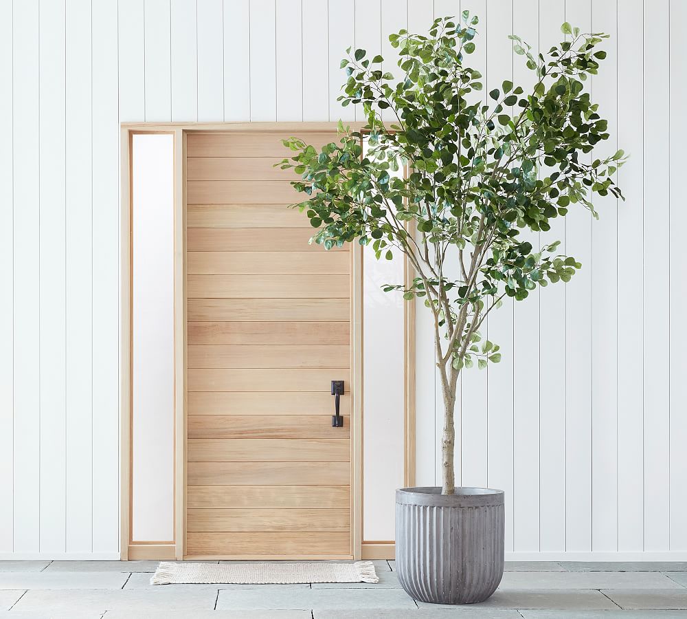 Faux Shady Lady Olive Tree | Pottery Barn