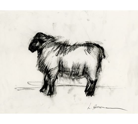 Sheep by The Artists Studio | Pottery Barn
