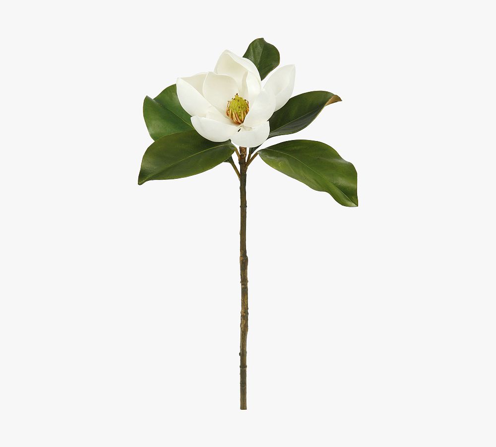 Faux Magnolia Bloom Dozen Stems | Pottery Barn