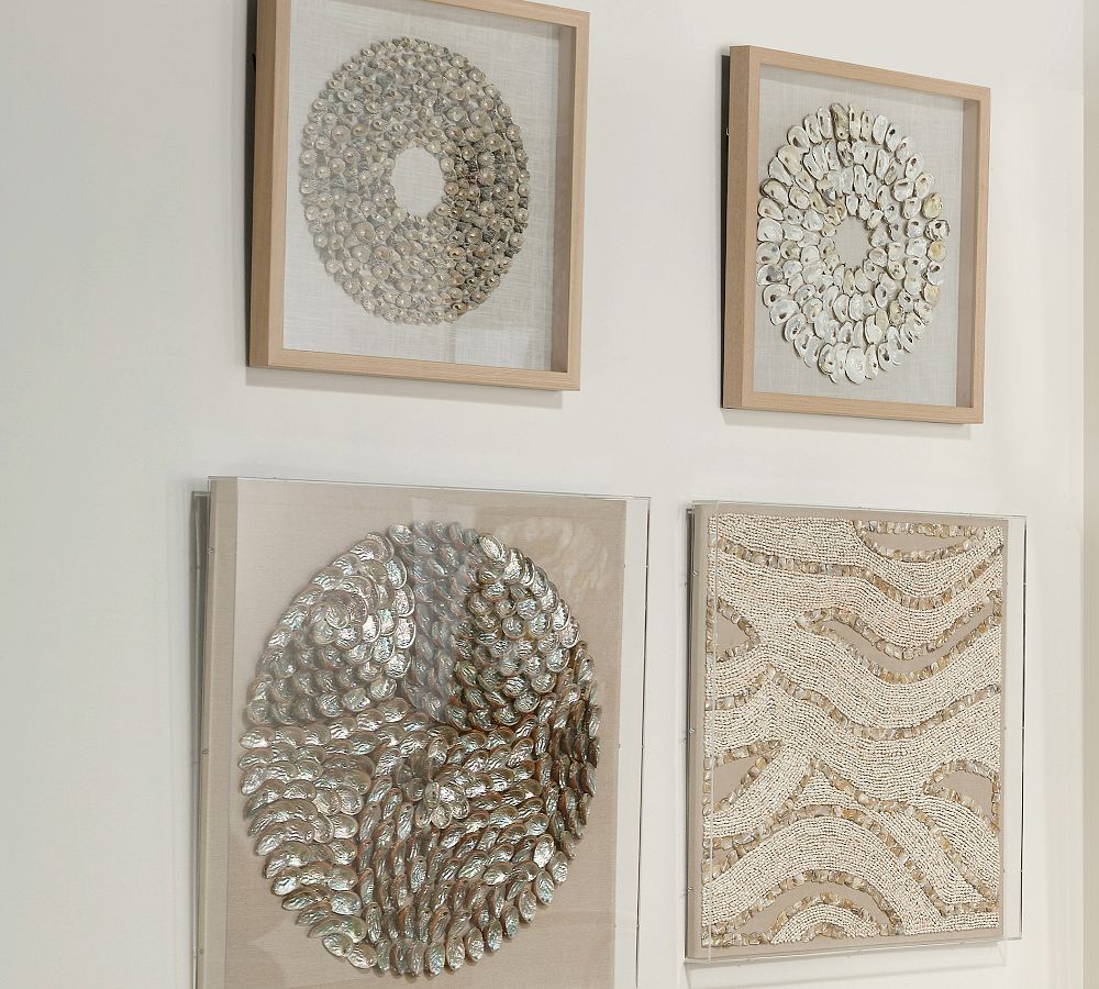 Trochidae Shell Shadow Box Wall Art | Pottery Barn