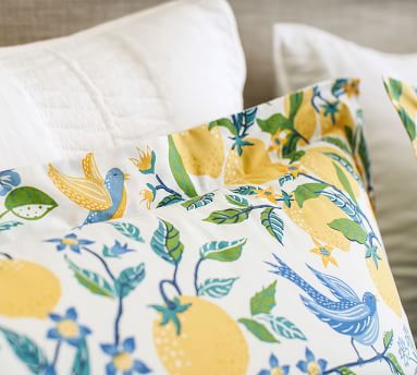 Capri Lemon Tree Percale Sham | Pottery Barn