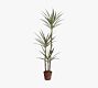 Faux Yucca Tree In Pot | Pottery Barn