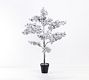 Potted Flocked Pine Tree | Pottery Barn