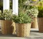 Glenwillow All-Weather Wicker Planters | Pottery Barn