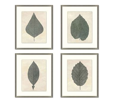 Leaf Lines Botanical Prints | Framed Wall Art | Pottery Barn