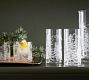 Rustic Forest Cocktail Glasses - Set of 4 | Pottery Barn