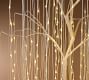 Lit Willow Tree | Pottery Barn