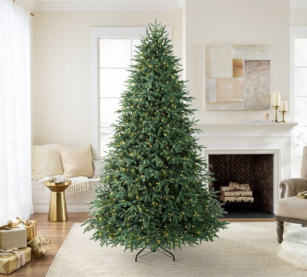 Lit Lakeshore Spruce Faux Christmas Tree | Pottery Barn