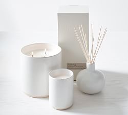 Mason Ceramic Reed Diffuser - White Spruce | Pottery Barn