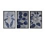 Indigo Silver Leaf Framed Prints | Pottery Barn
