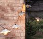 Shaded String Lights | Pottery Barn