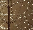 Lit Twinkling Twig Tree | Pottery Barn