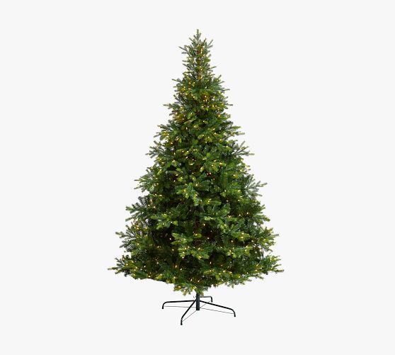 Lit North Carolina Spruce Faux Christmas Tree | Pottery Barn