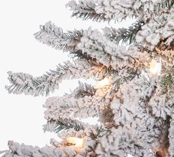 Faux Lit Flocked Alpine Tree With Clear Lights - 5 Ft. | Pottery Barn