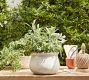 Artisan Handcrafted Cachepots | Pottery Barn