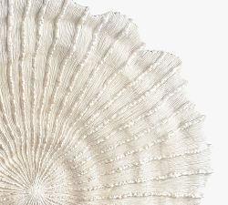 Handmade Ceramic Shell Wall Art - Set of 3 | Pottery Barn