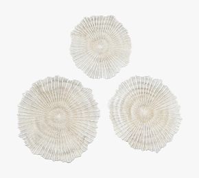 Handmade Ceramic Shell Wall Art - Set of 3 | Pottery Barn