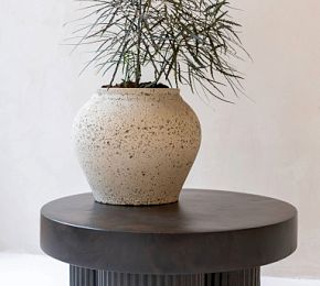 Elena Planters | Pottery Barn