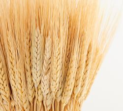 Dried Standing Wheat Bundle | Pottery Barn