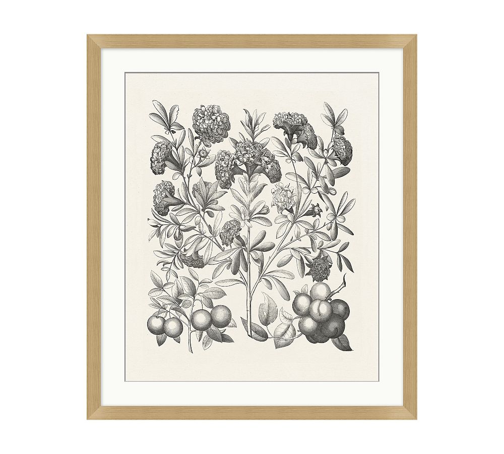 Illustrated Floral Shades Framed Print | Pottery Barn