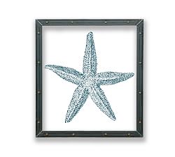 Starfish Framed Acrylic Print | Coastal Wall Art | Pottery Barn