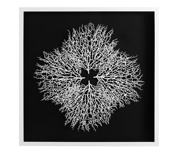 Coral Shadow Box Art | Pottery Barn
