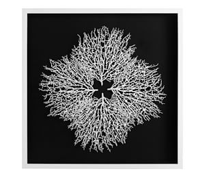 Coral Shadow Box Art | Pottery Barn