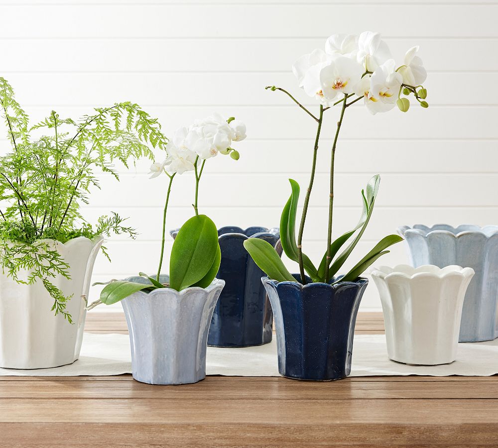 Fluted Tulip Cachepot | Pottery Barn