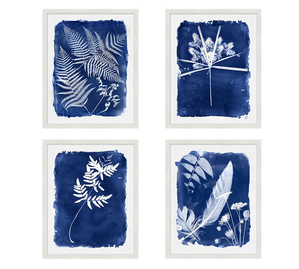 Cyanotype Framed Prints | Pottery Barn