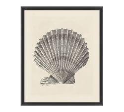 Sepia Shells | Pottery Barn