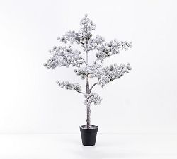 Potted Flocked Pine Tree | Pottery Barn