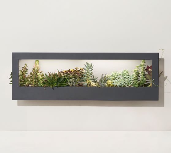 Growframe, 32" X 11.5" | Pottery Barn