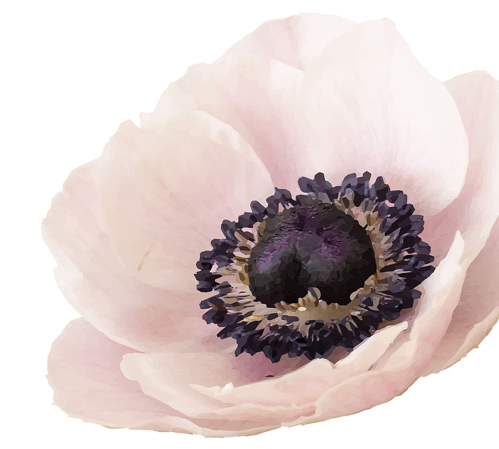 Anemone Light Pink Flower Removable Wall Decal | Pottery Barn