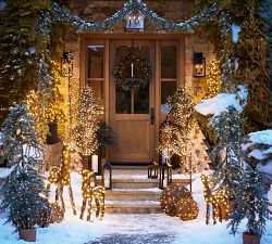 Lit Twinkle Rattan Tree | Pottery Barn