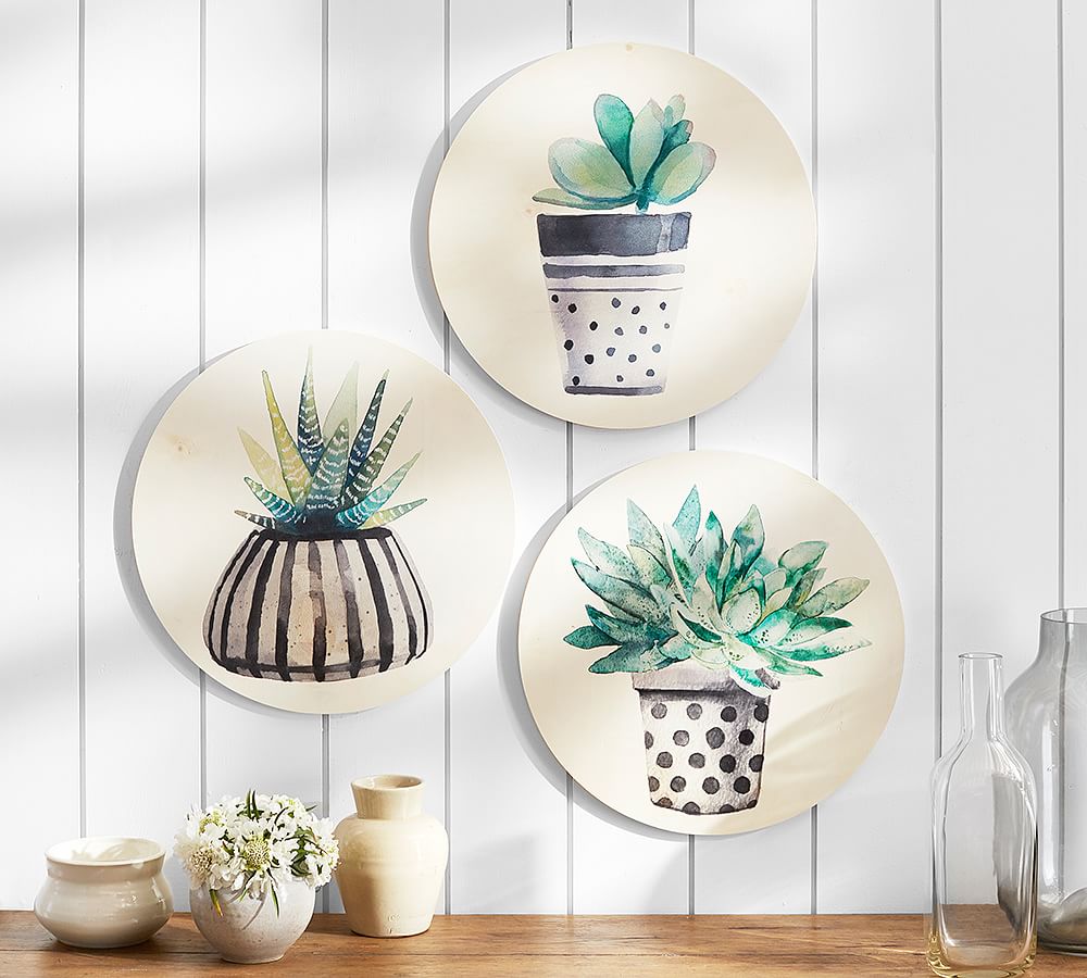 Canvas Potted Succulent Wood Prints - Set of 3 | Wall Decor | Pottery Barn