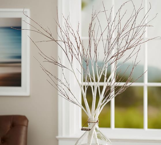 Frosted Birch Branch | Pottery Barn