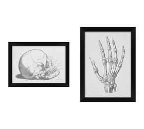 Anatomy | Pottery Barn