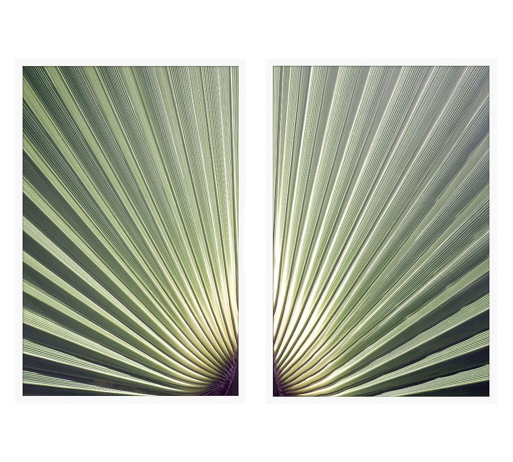 Palm Panel Framed Prints | Pottery Barn