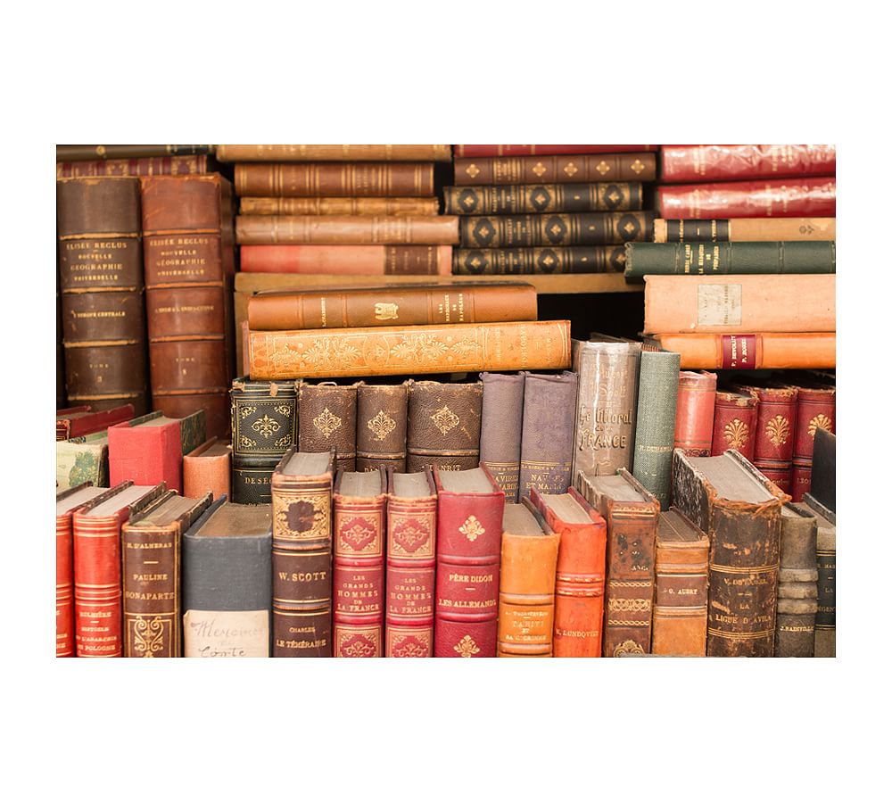 A Good Read Framed Prints by Rebecca Plotnick | Pottery Barn