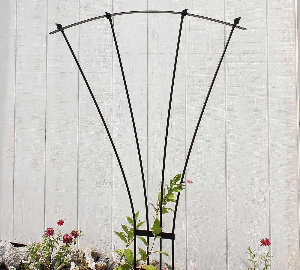 Fan Trellis | Pottery Barn