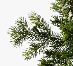 Lit Lakeshore Spruce Faux Christmas Tree | Pottery Barn