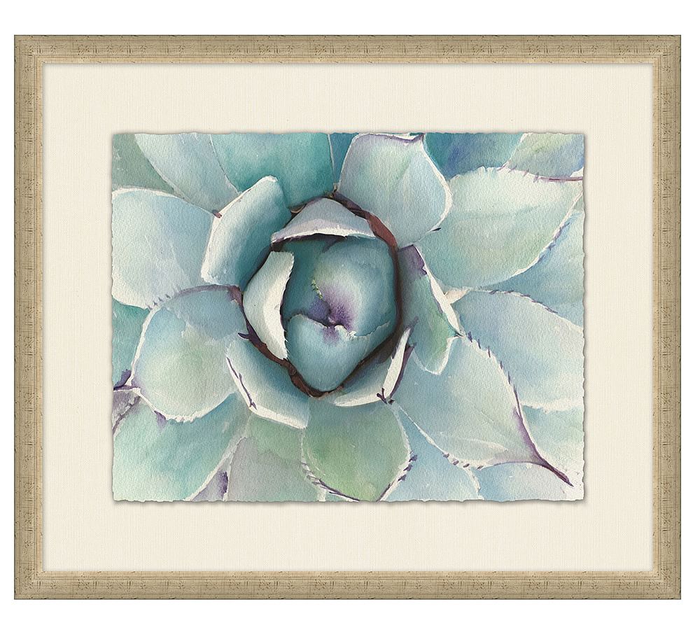 Spring Agave Framed Print | Pottery Barn