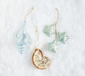 Coastal Shell Ornaments - Set of 3 | Pottery Barn