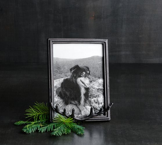 Bronze Antler Picture Frame | Pottery Barn