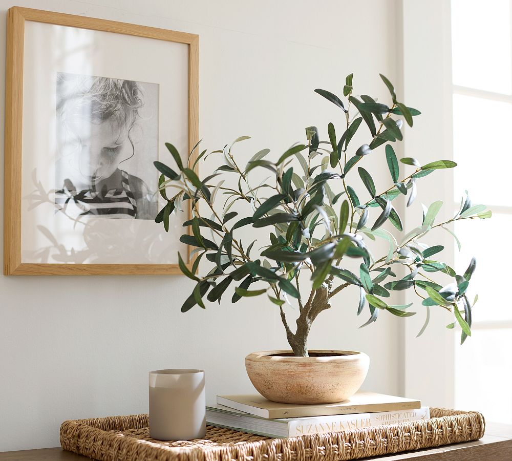 Faux Potted Olive Houseplant | Pottery Barn